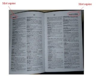 Utiliser le dictionnaire et les mots repères (chercher un mot)